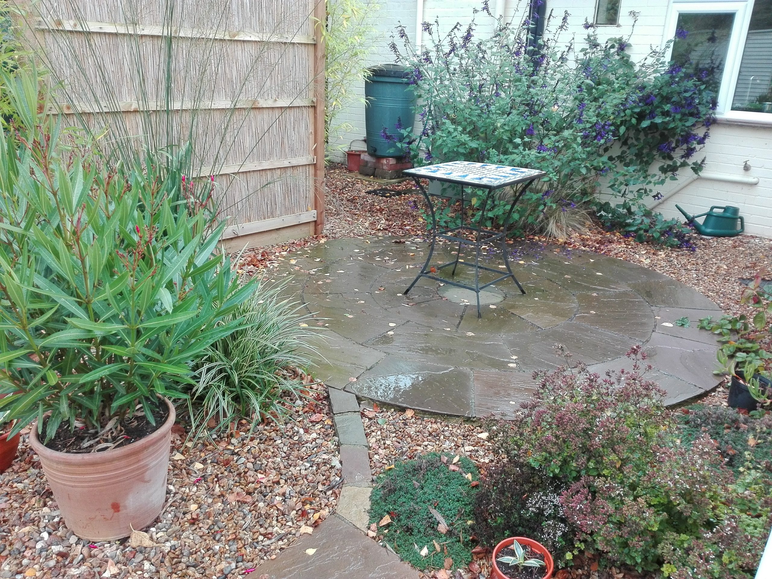 Wrap around garden - Hall Landscaping & Design
